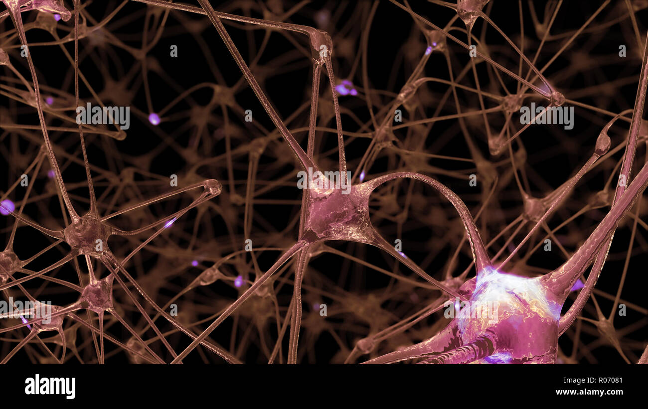 3D rendering of a network of neuron cells and synapses through which electrical impulses and ...