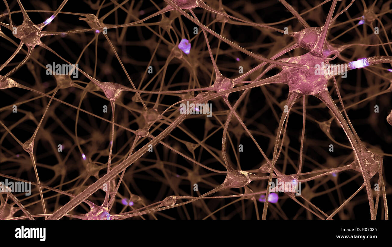 3D rendering of a network of neuron cells and synapses through which electrical impulses and ...