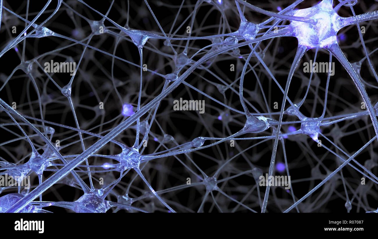 3D rendering of a network of neuron cells and synapses through which electrical impulses and ...