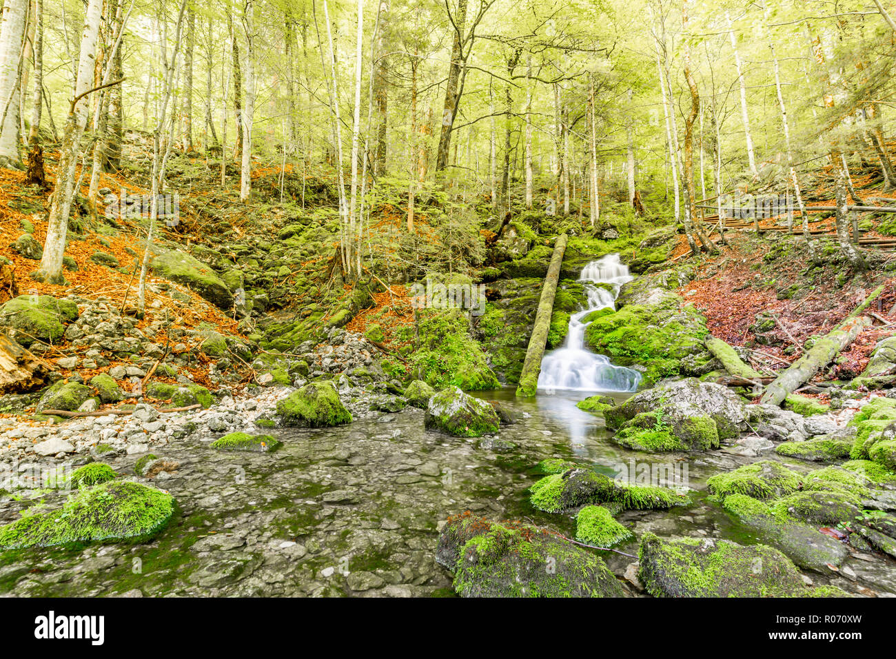 Cascade falls over mossy rocks. Beautiful green forest scene, stream of ...