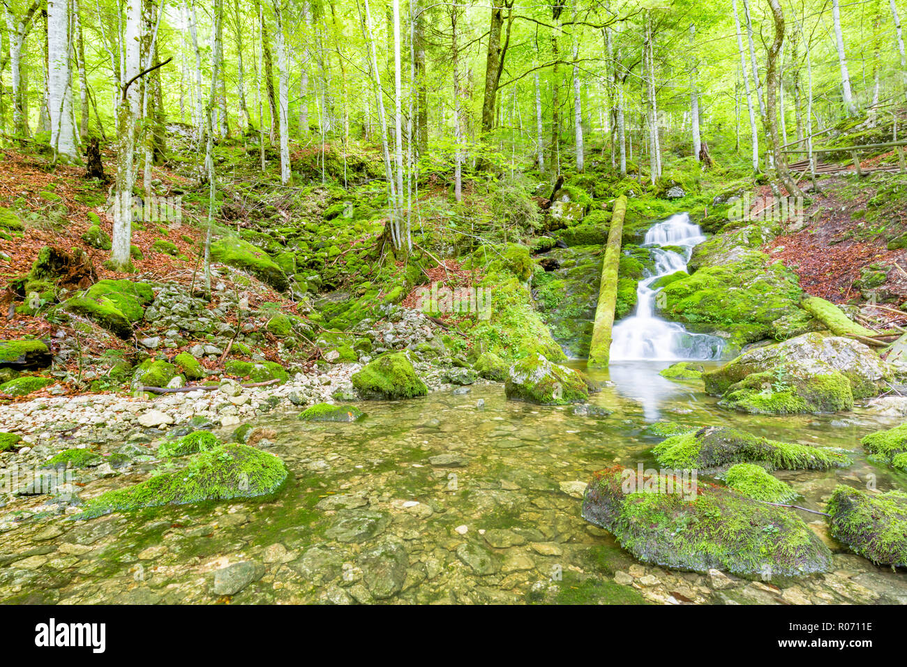 Cascade falls over mossy rocks. Beautiful green forest scene, stream of ...