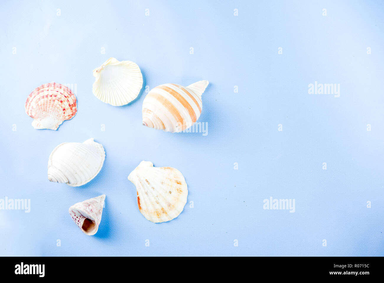 Summer vacation concept, layout, seashells on bright blue yellow ...
