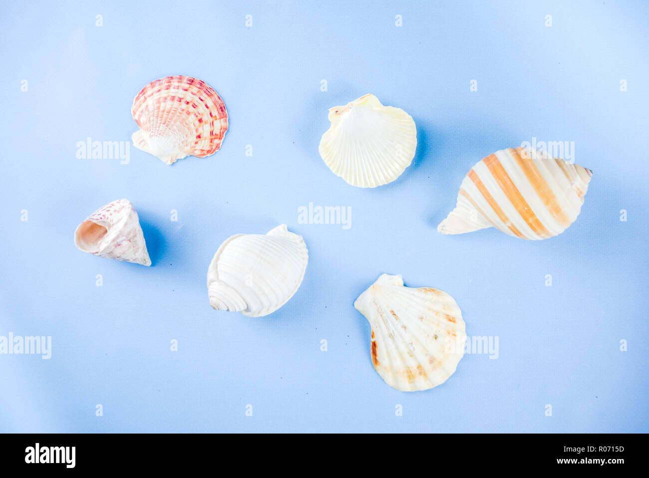 Summer vacation concept, layout, seashells on bright blue yellow ...