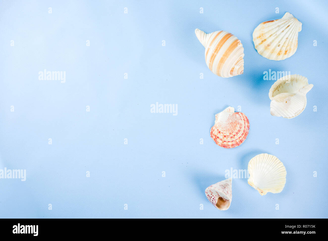 Summer vacation concept, layout, seashells on bright blue yellow ...