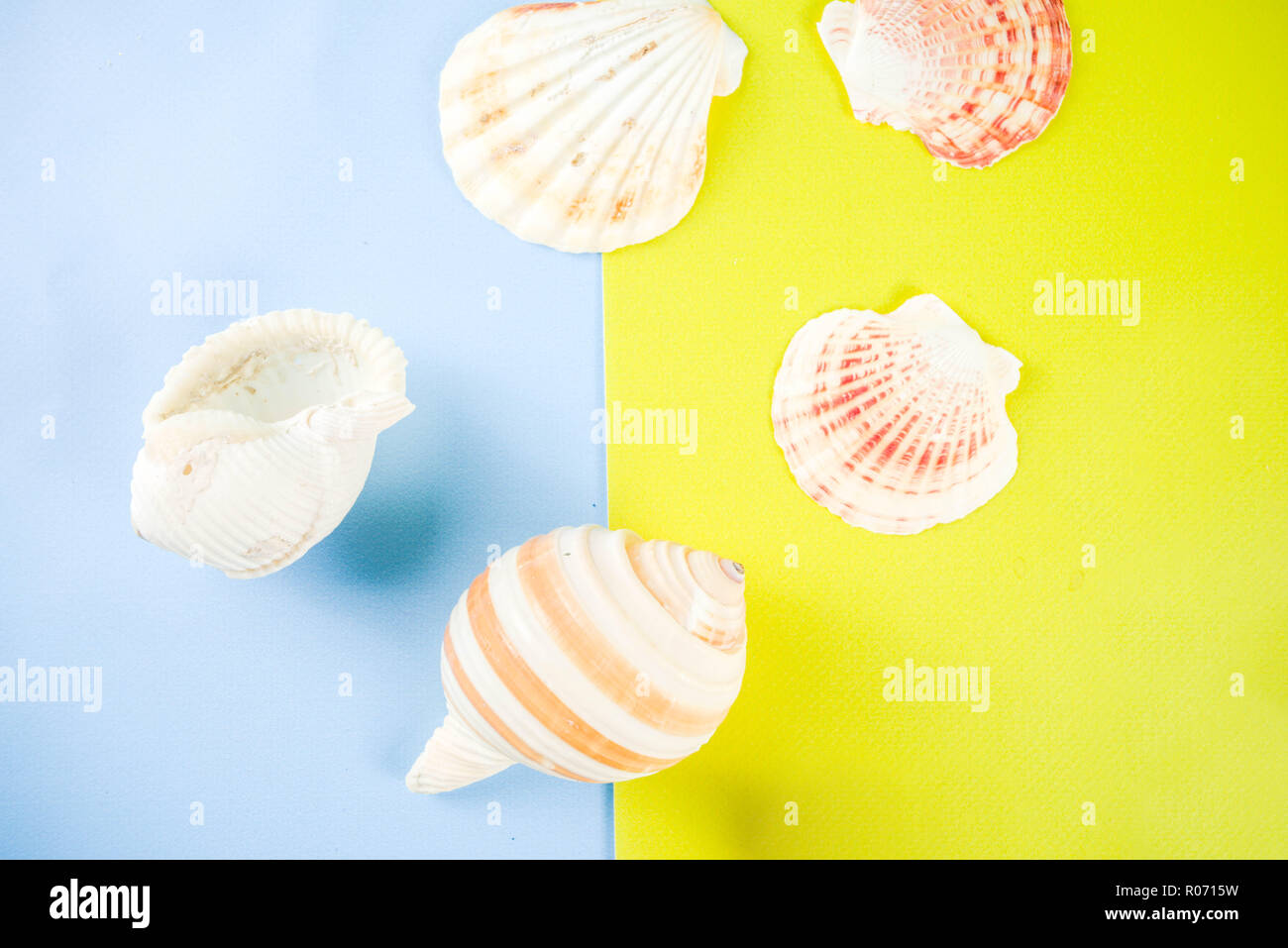 Summer vacation concept, layout, seashells on bright blue yellow ...