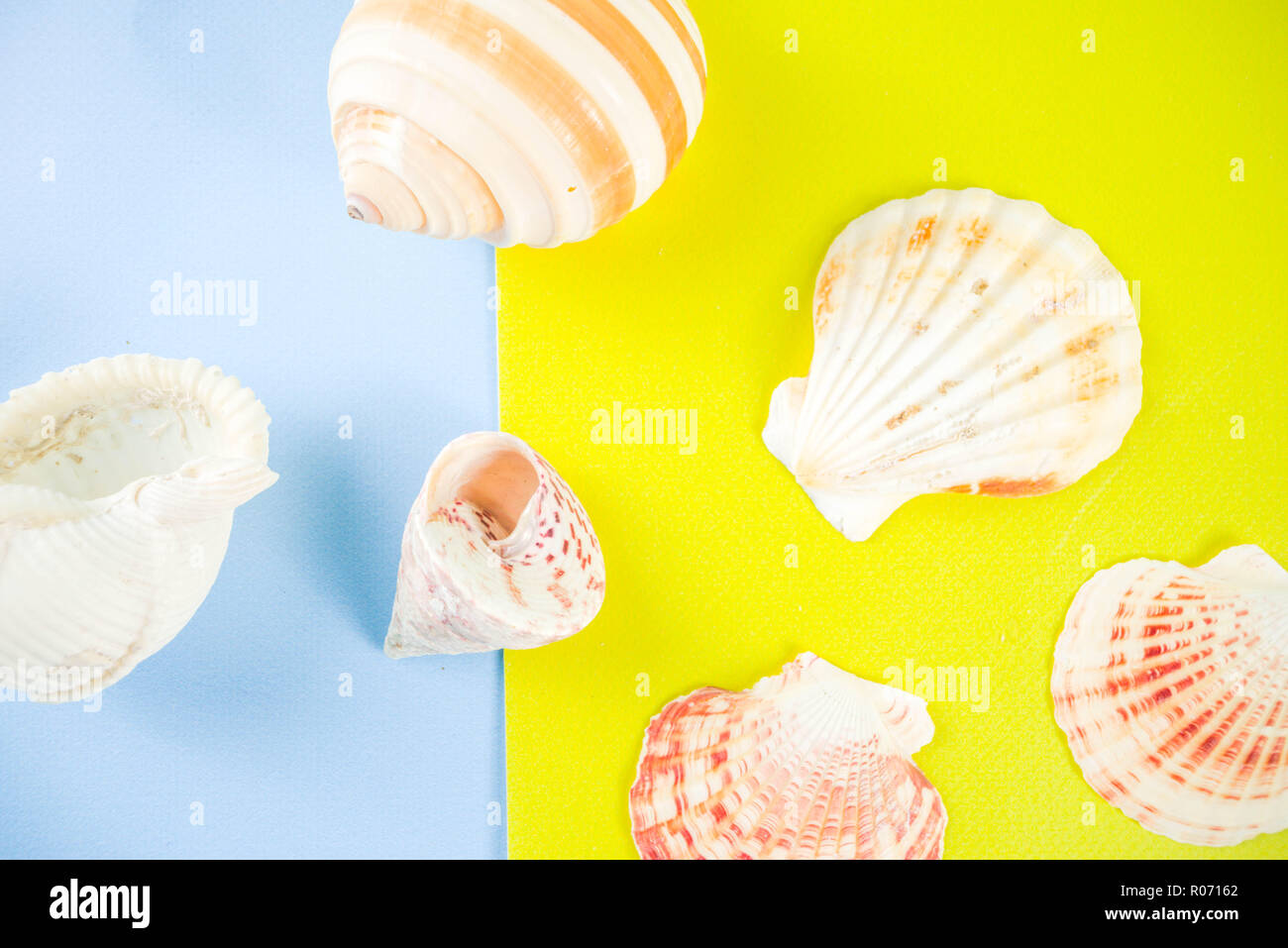 Summer vacation concept, layout, seashells on bright blue yellow ...
