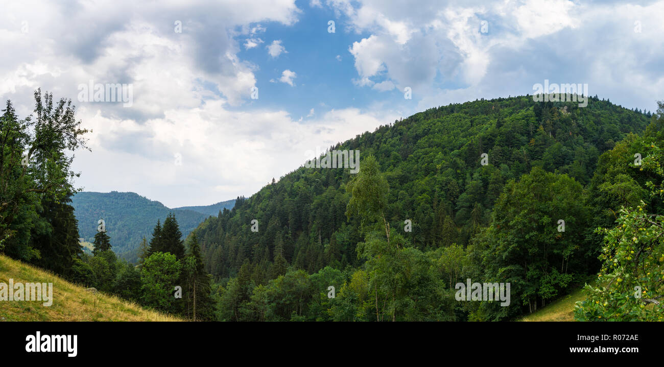 Black forest hiking hi-res stock photography and images - Alamy