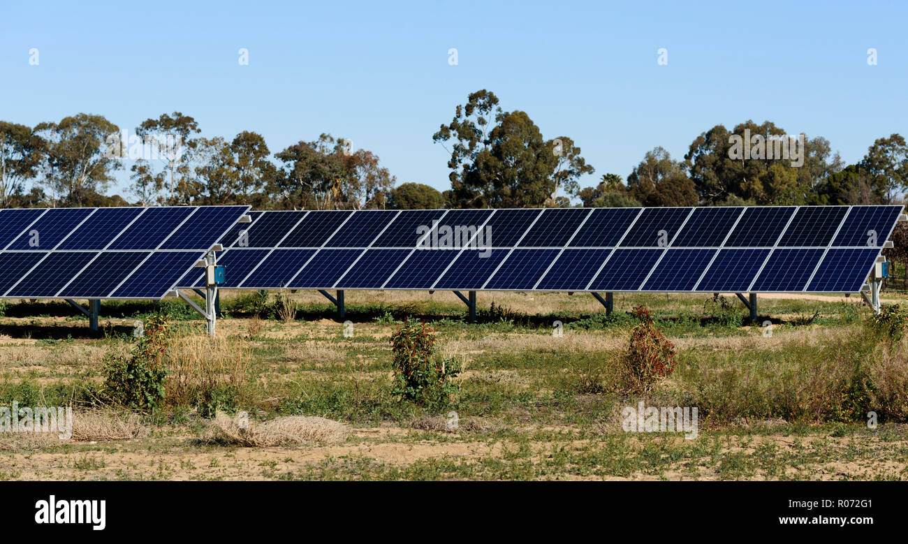 Solar panels in paddock at solar farm in South Australia where ...