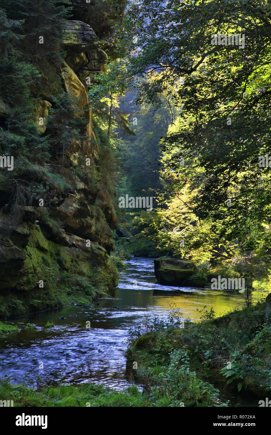 Kamenice river near Hrensko. Bohemia. Czech Republic Stock Photo - Alamy
