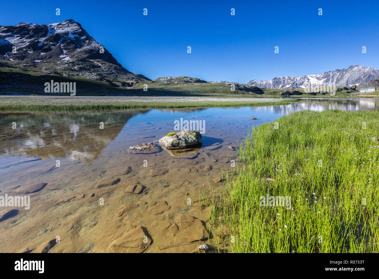 Lago bianco hi-res stock photography and images - Alamy