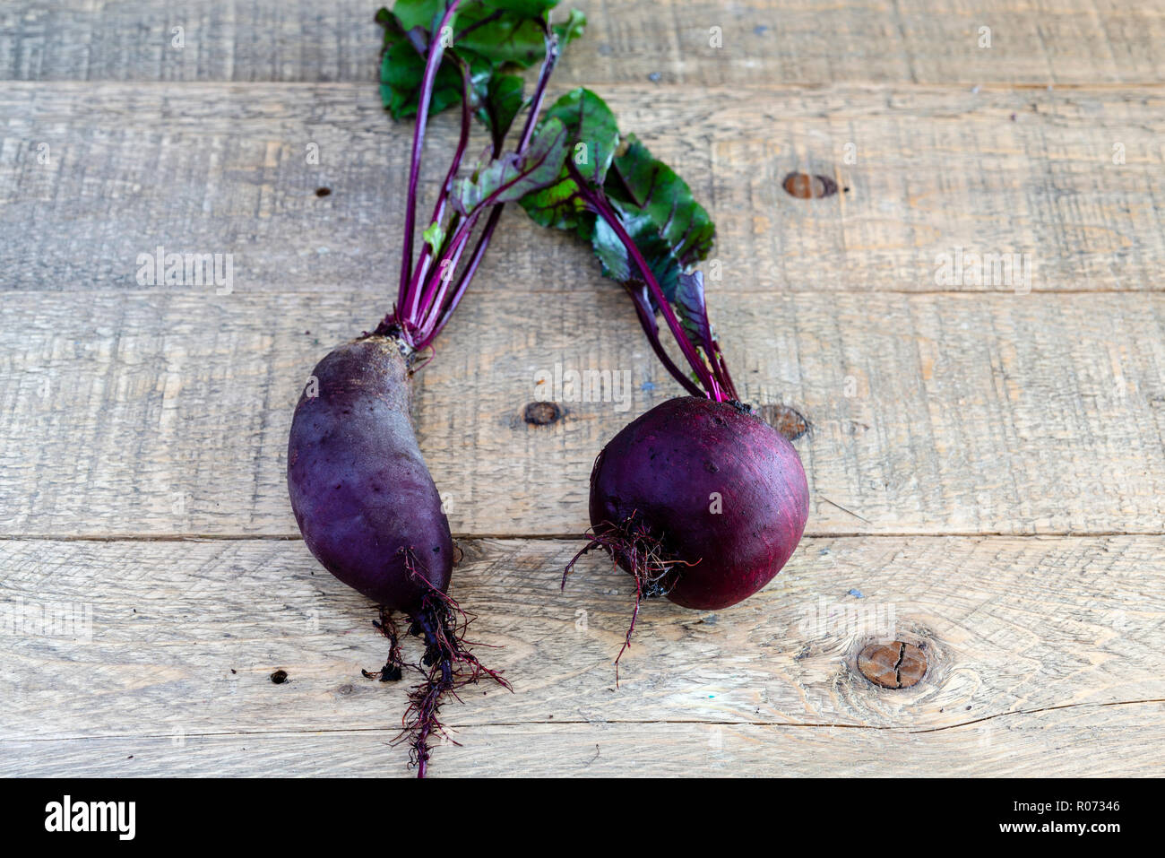 Two different types of beetroot - Left Beetroot Alto, Right Beetroot ...