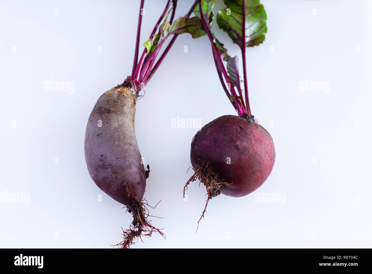 Two different types of beetroot on a white background - Left Beetroot ...