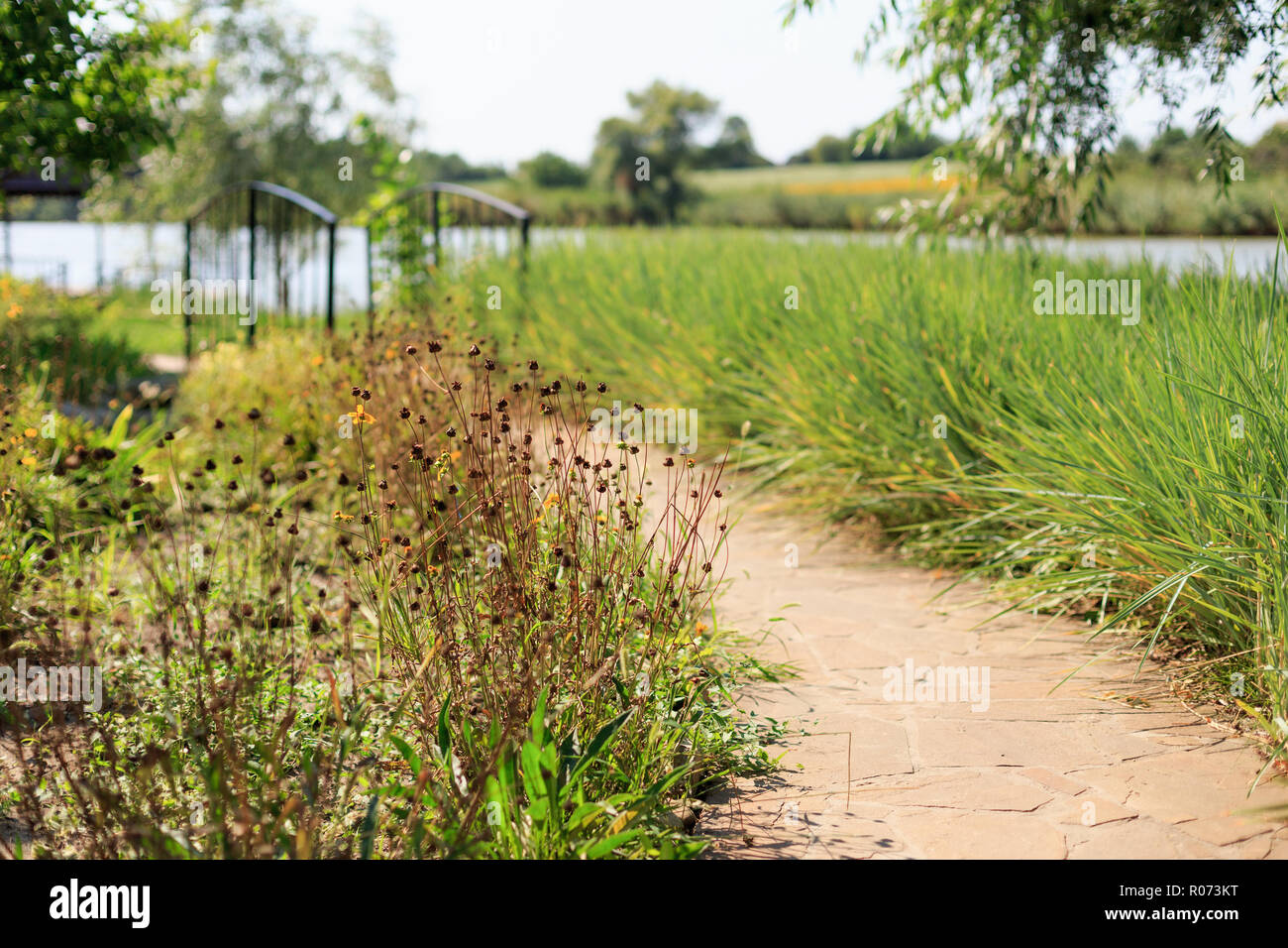 Summer park in the countryside Stock Photo - Alamy