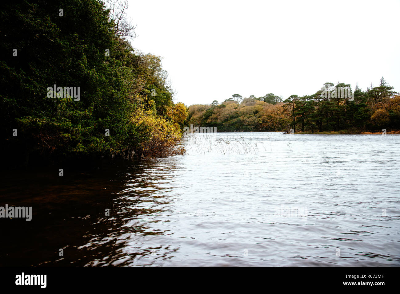 Scenic view of lake in Killarney a misty day against sky Stock Photo ...
