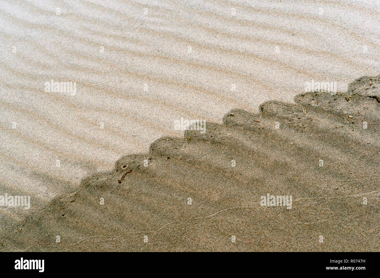 sea sand, sand texture, sand background Stock Photo - Alamy