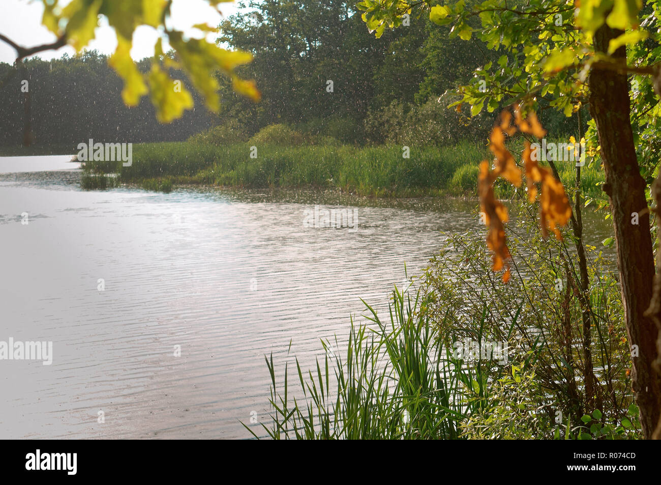 Raindrops falling on puddle hi-res stock photography and images - Alamy