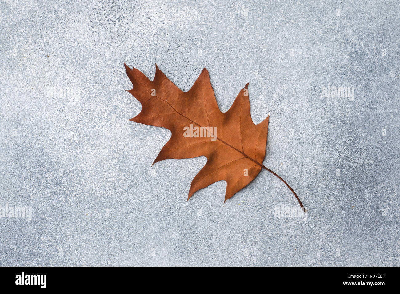Subtext background hi-res stock photography and images - Alamy