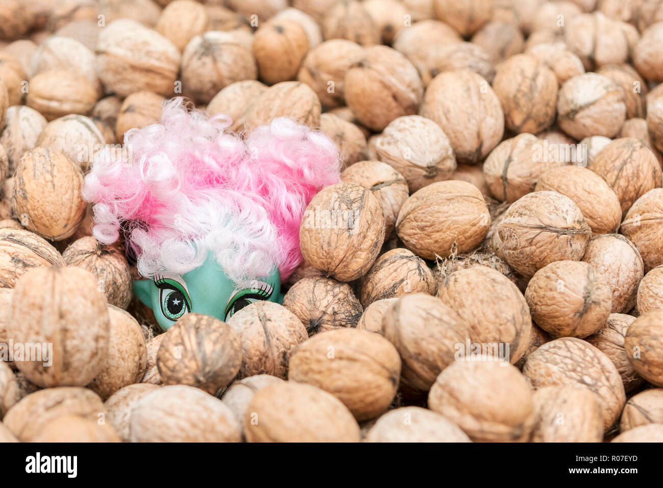 doll head with green face peeking out from a pile of walnuts Stock ...