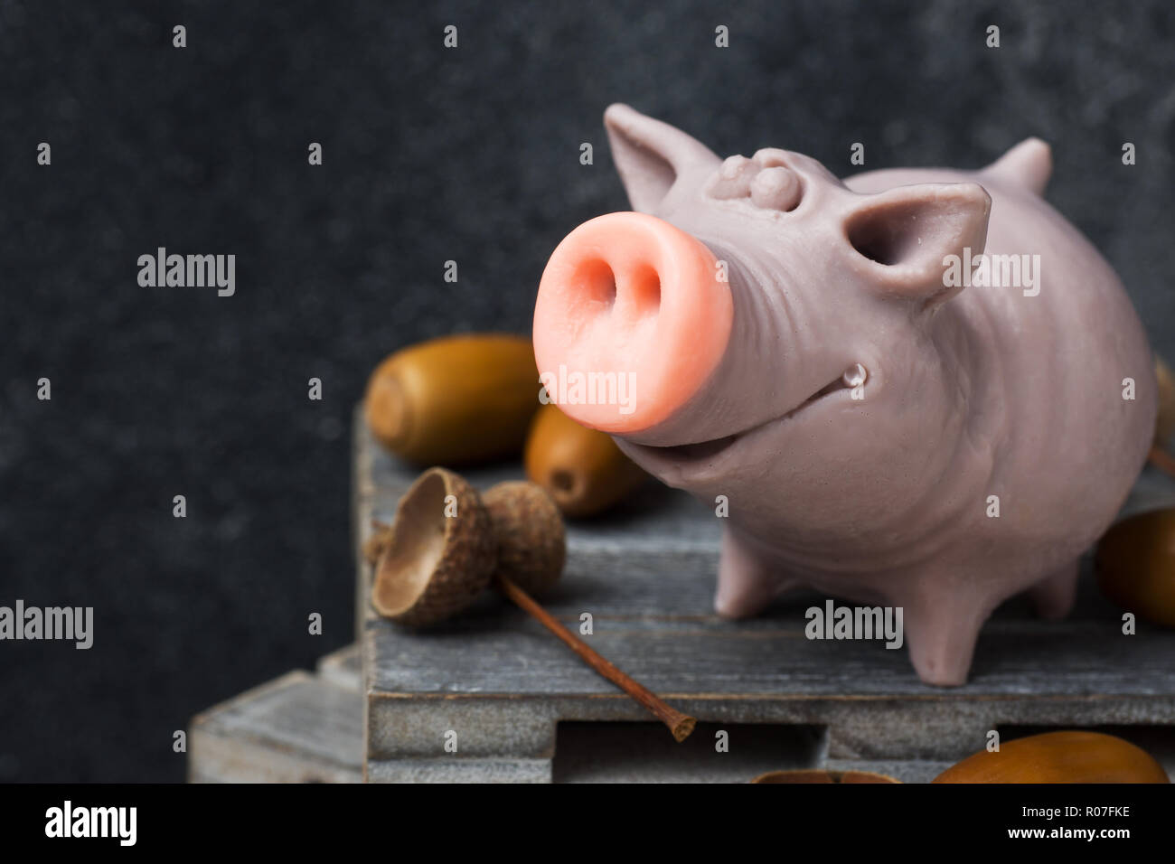 Funny figure of a pig with acorns on a dark background. Copy space ...