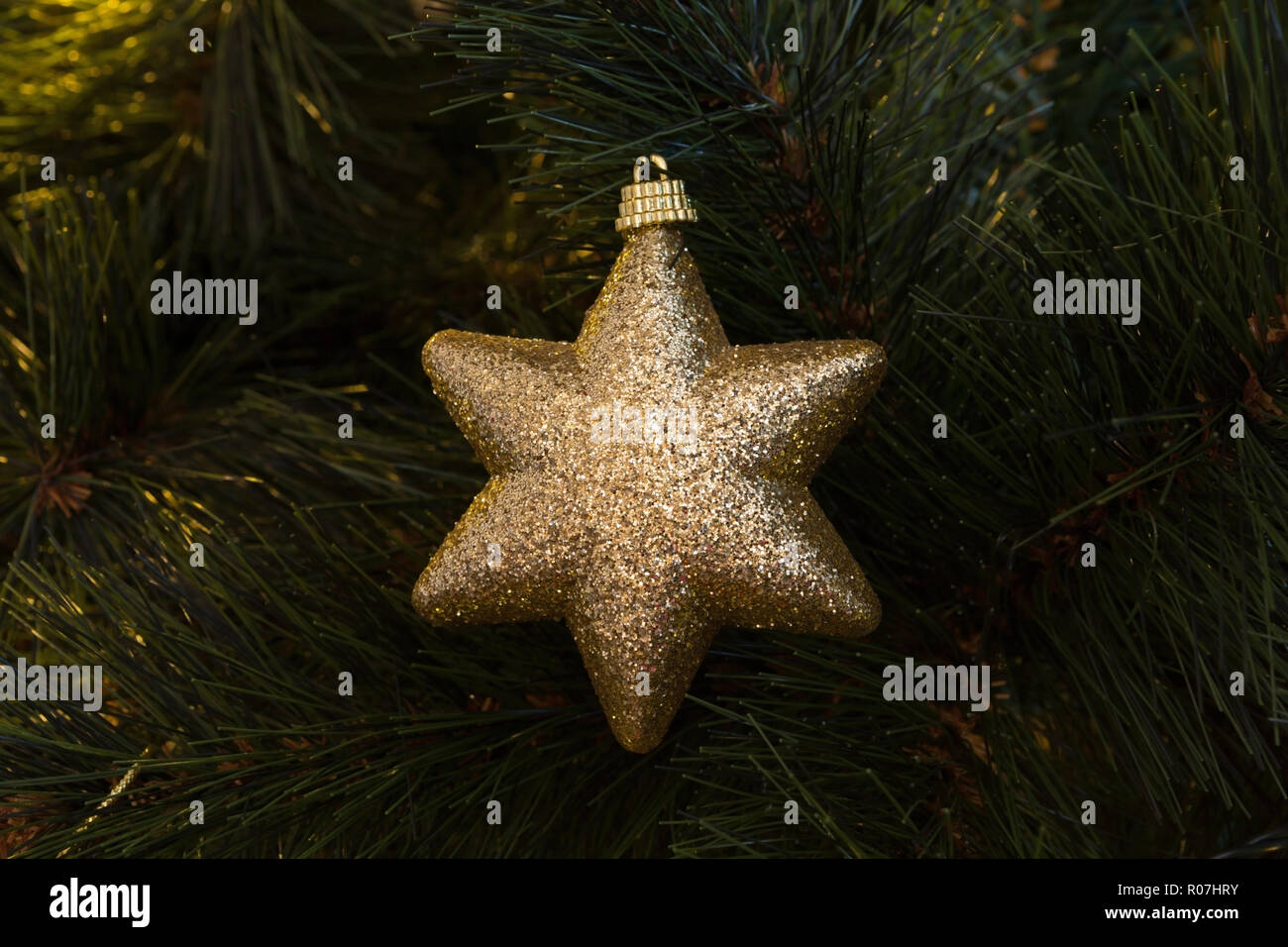 Zoomed view hi-res stock photography and images - Alamy