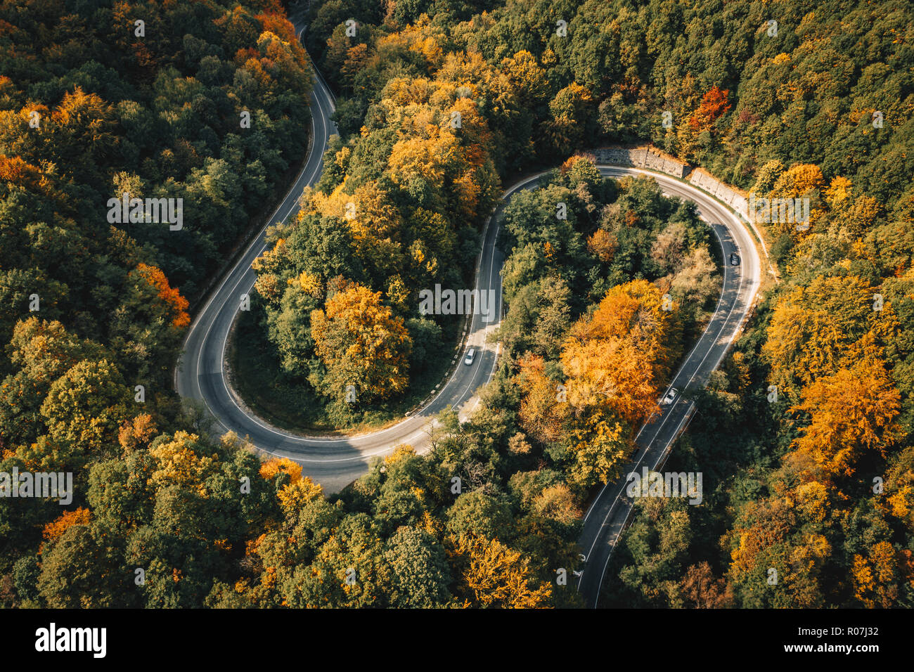 Car driving on a winding road trough a forest Stock Photo - Alamy