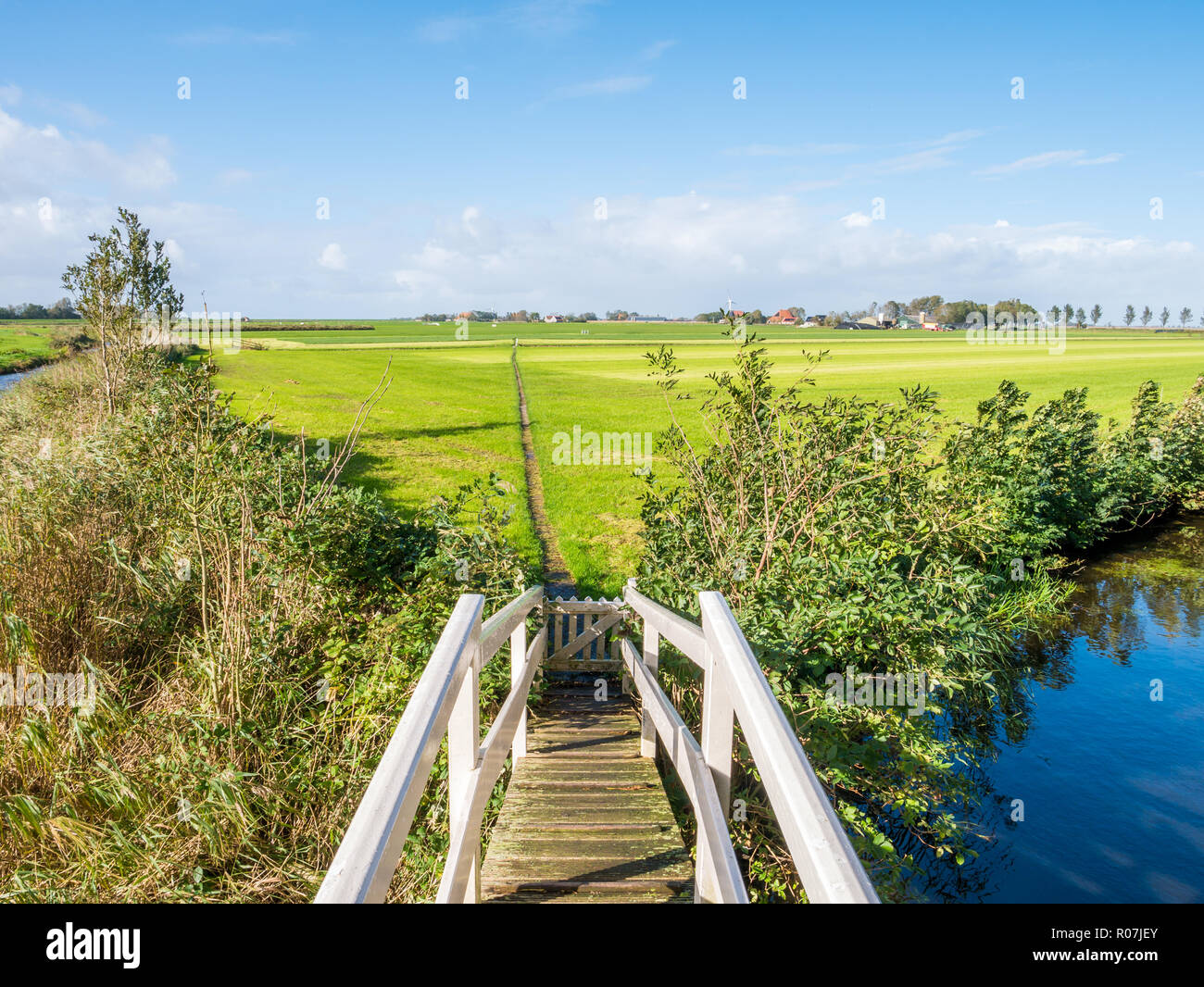 Polder landscape with grassland, bridge and footpath near Workum ...