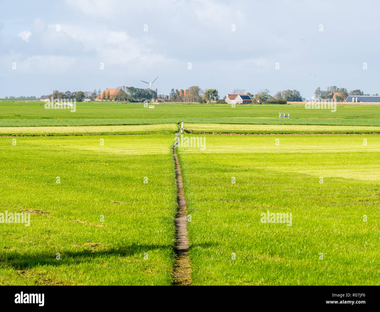 Polder landscape with pasture, footpath and farmhouse near Workum ...
