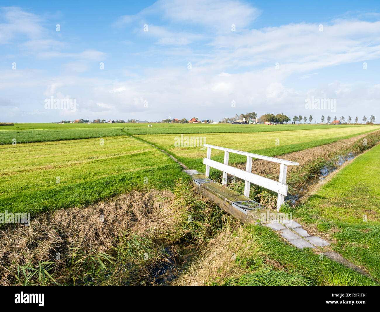 Polder landscape with pasture and bridge over ditch near Workum ...