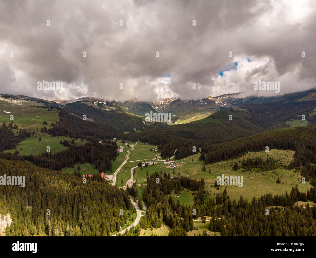 Padina hi-res stock photography and images - Alamy