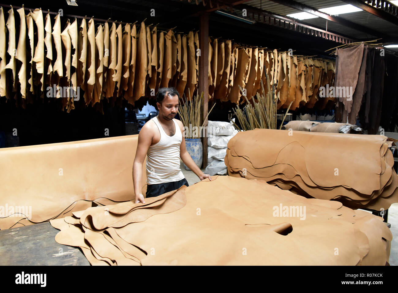 Dhaka, Bangladesh - March 12, 2017: Bangladeshi tannery workers process ...