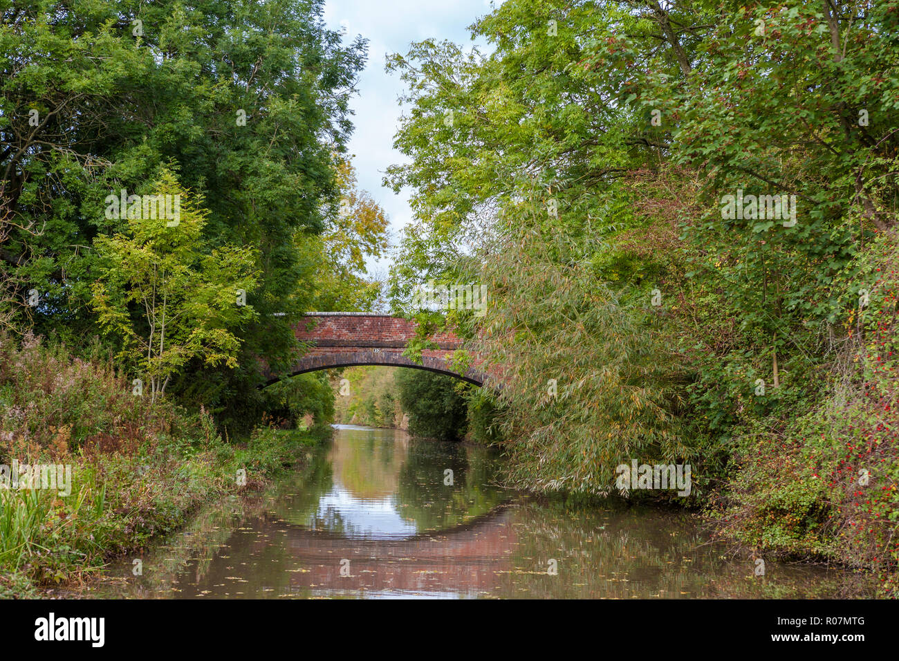 Hollyhill bridge 19 hi-res stock photography and images - Alamy