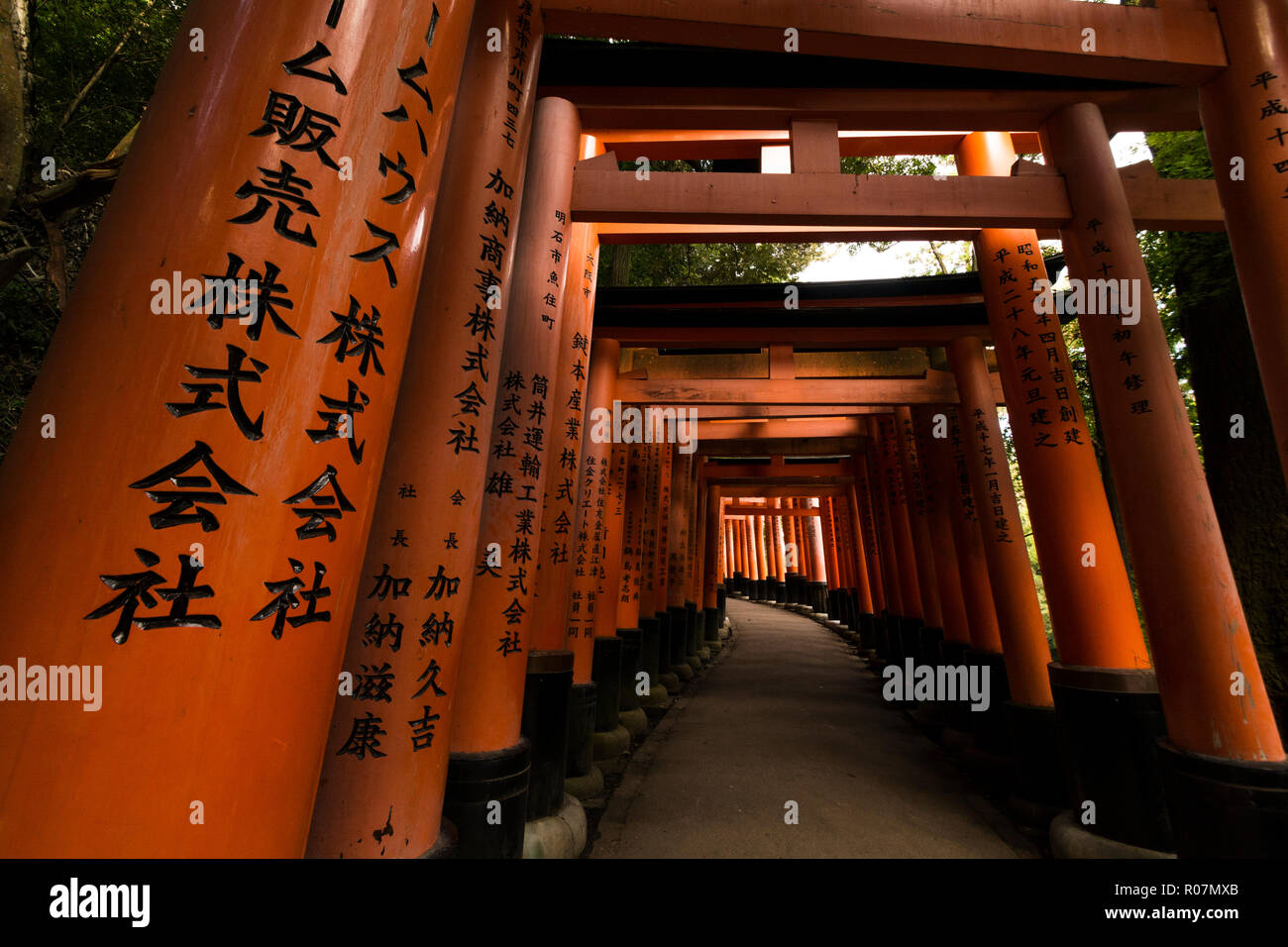 leading up the path Stock Photo - Alamy
