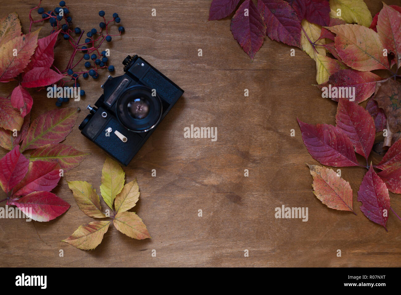 autumn fruits red berries yellow leaves the camera Stock Photo - Alamy