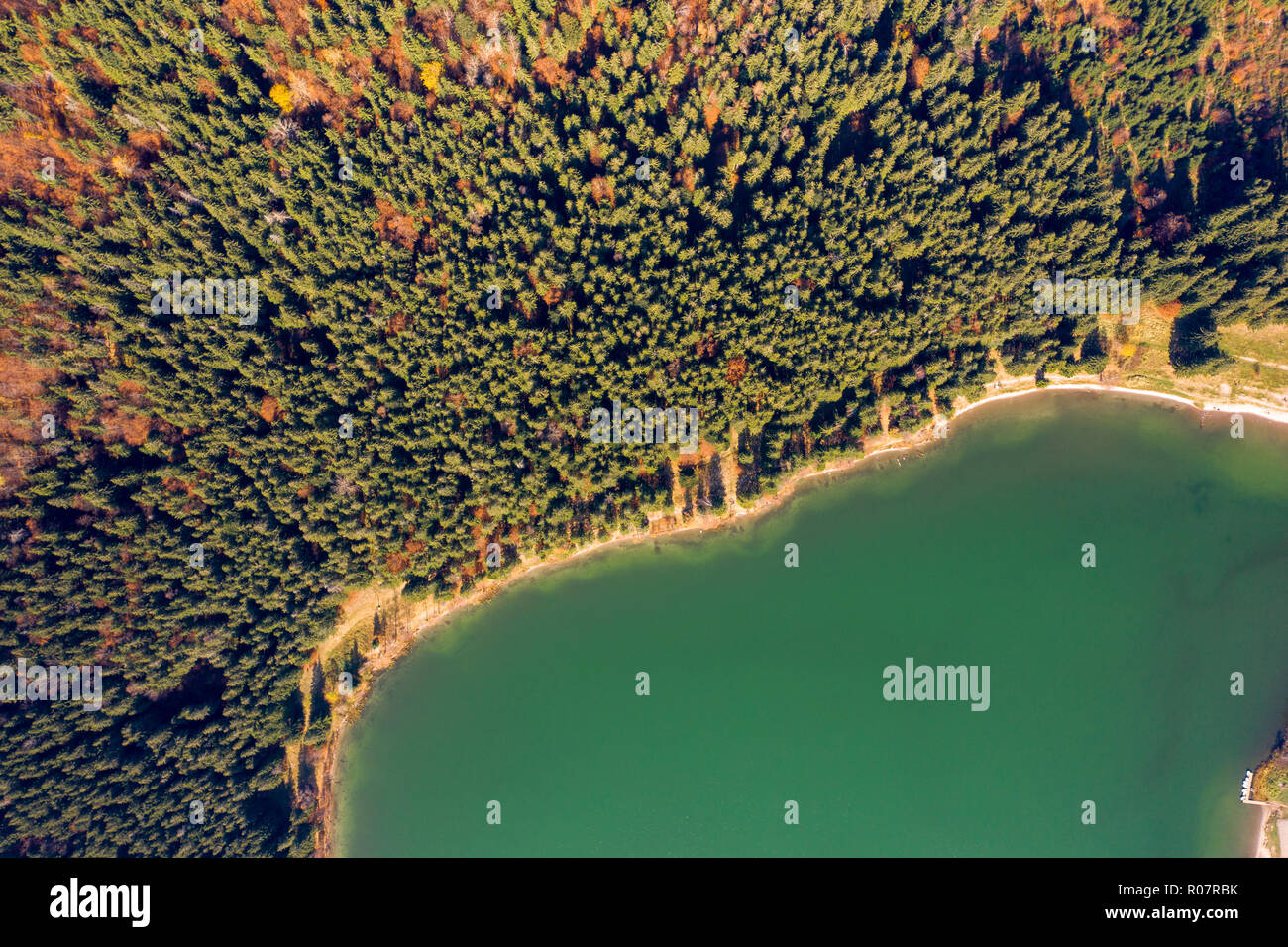 Saint Anna Lake, Tusnad, Baile Tusnad, Romania Stock Photo - Alamy