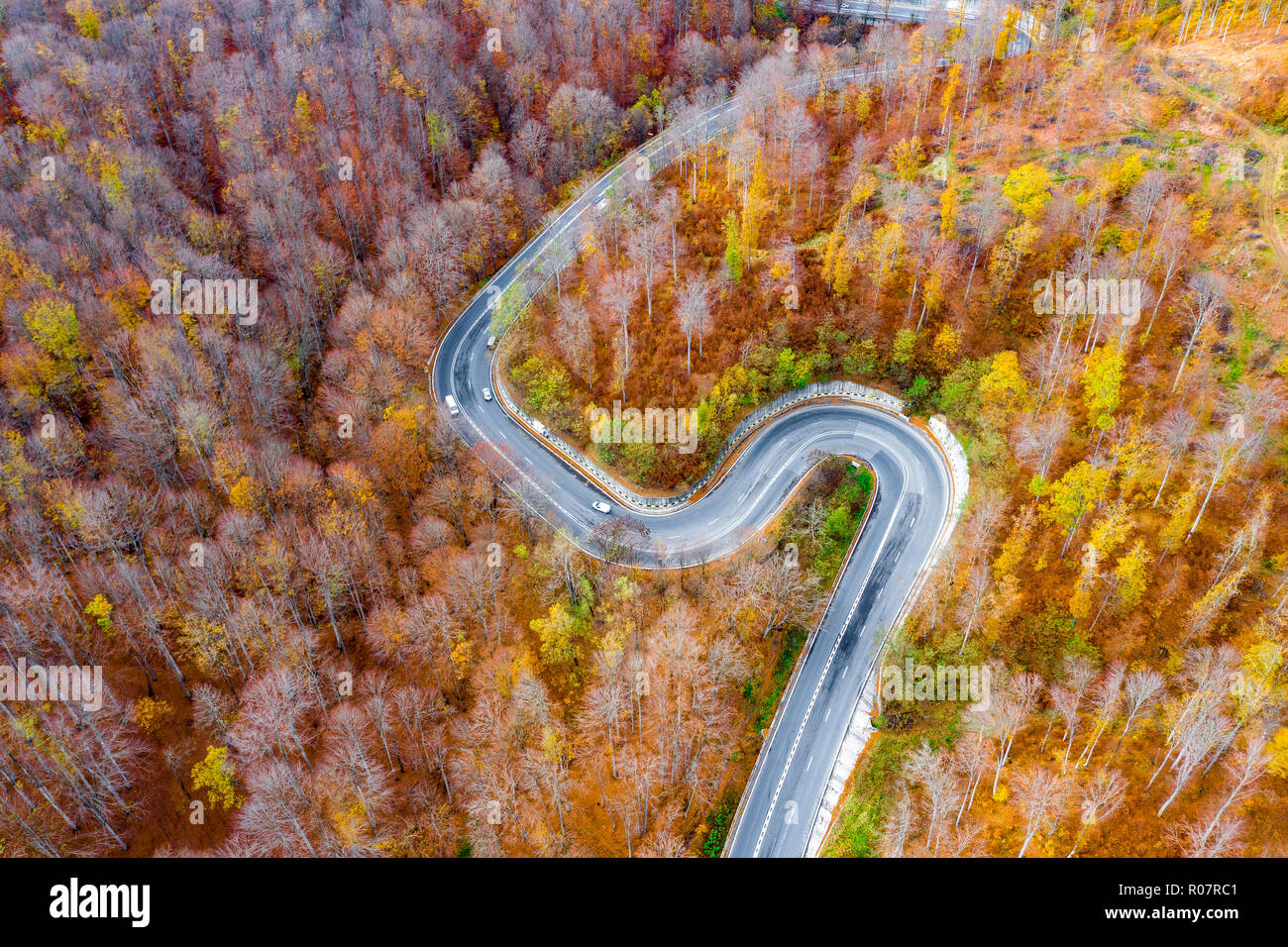 Cars on a extreme winding road trough the forest Stock Photo - Alamy