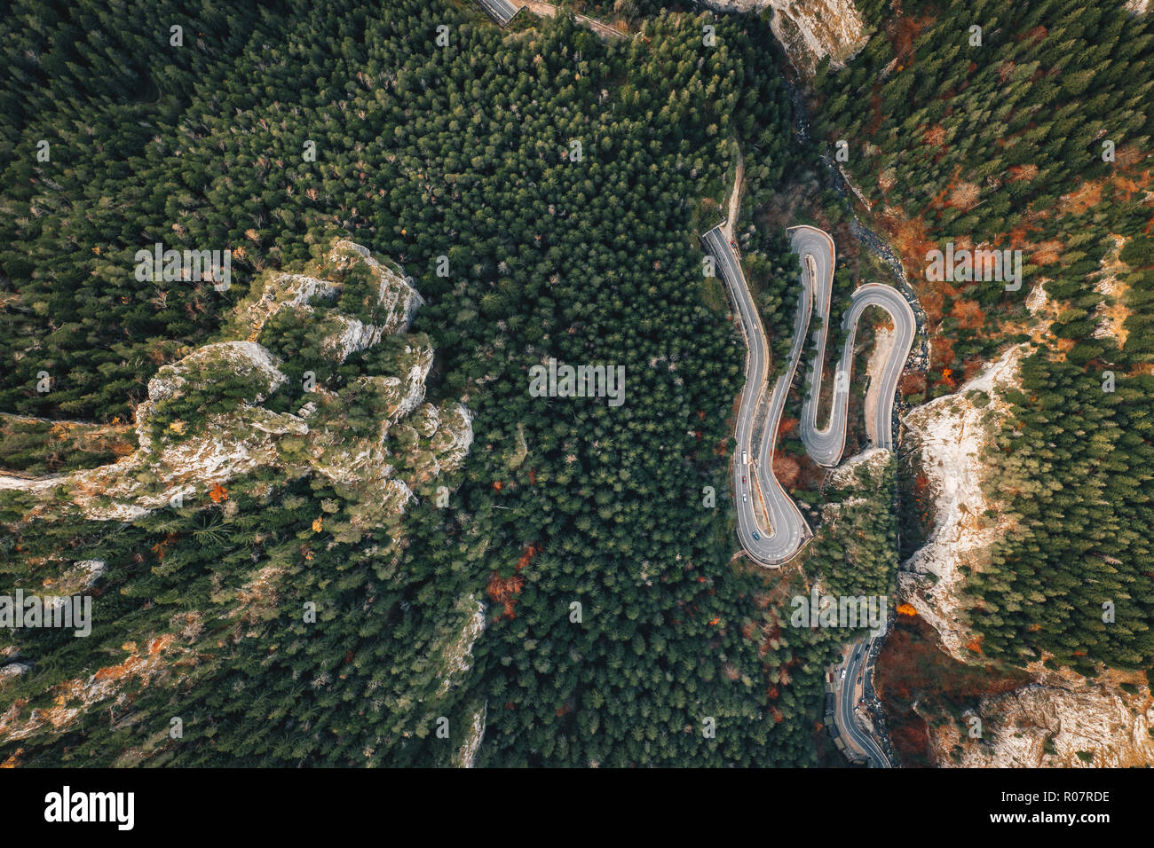 Forest winding road trough Bicaz Gorge, Transylvania Stock Photo - Alamy