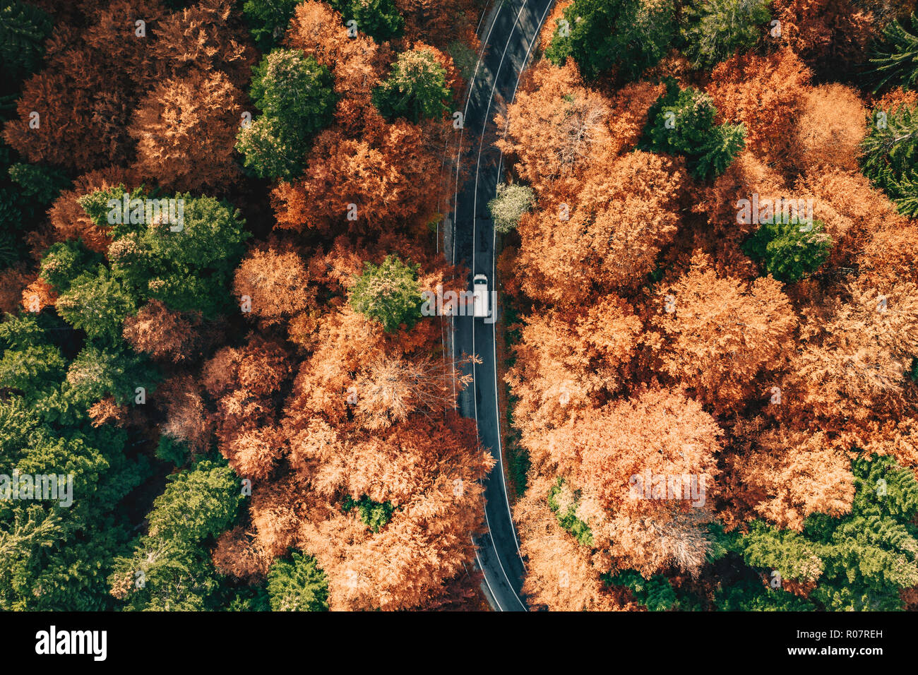 Car surrounded by forest hi-res stock photography and images - Alamy