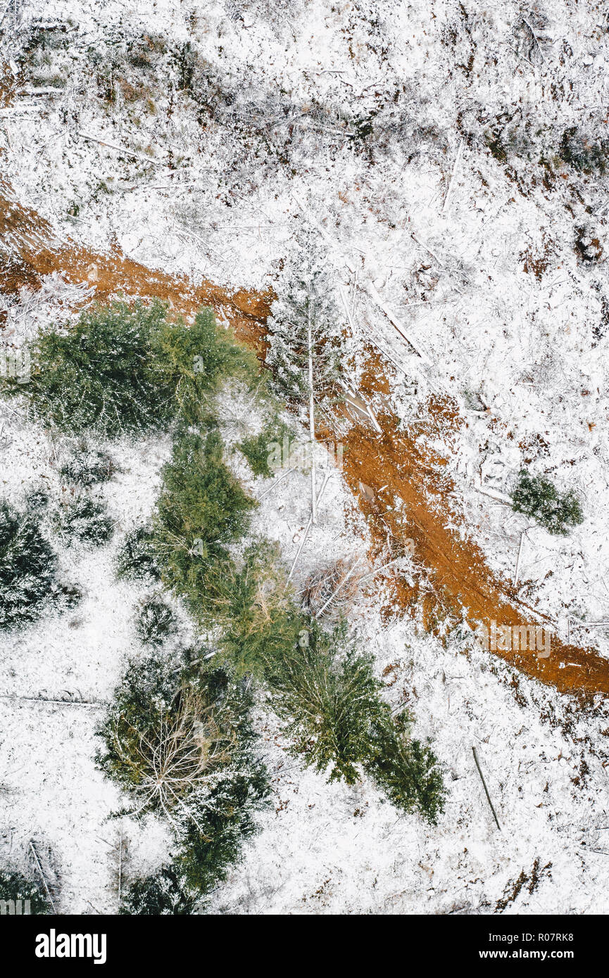 The first snow in the forest hi-res stock photography and images - Alamy