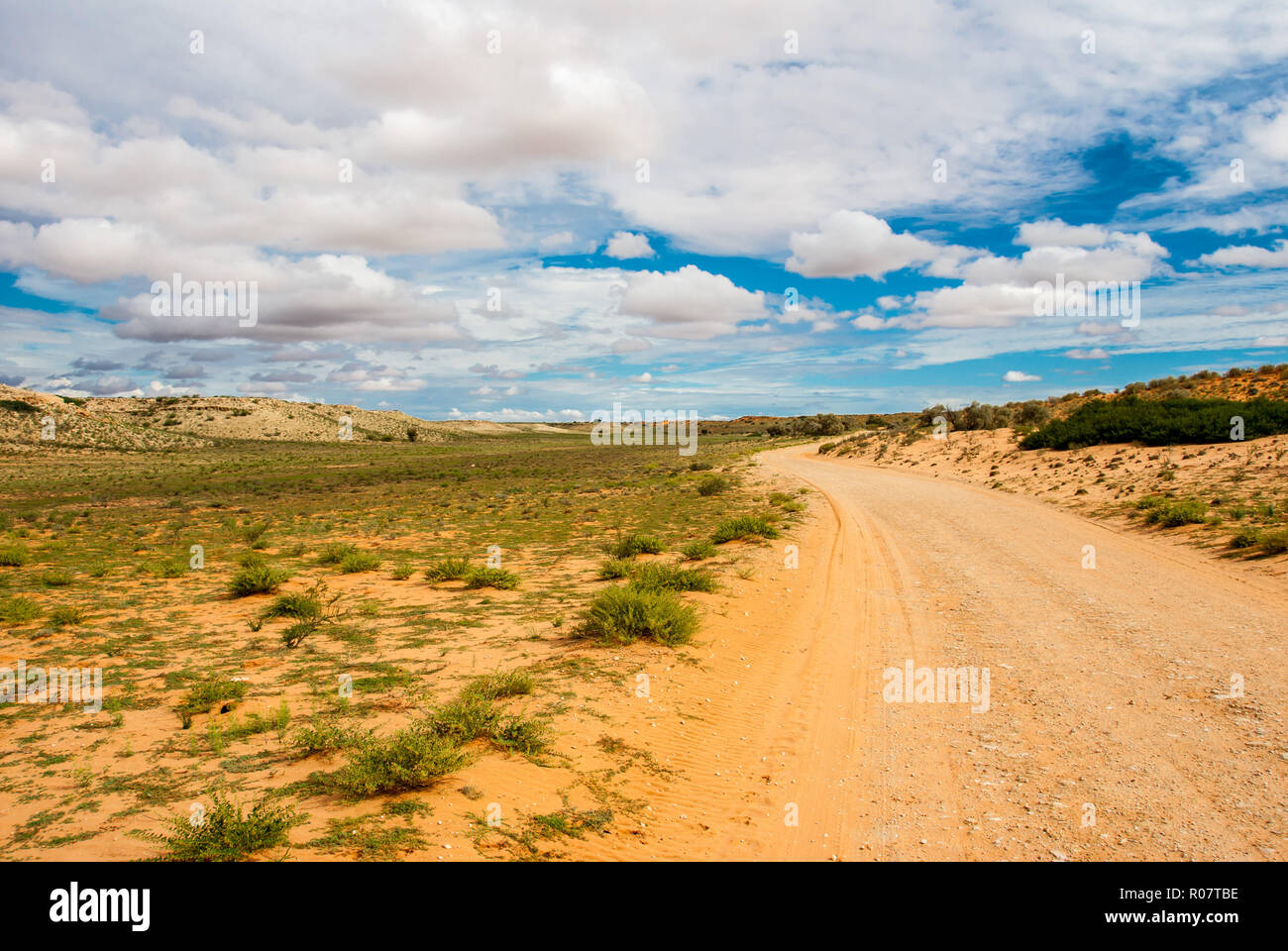 Kgalagadi Transfrontier Park, South Africa Stock Photo - Alamy