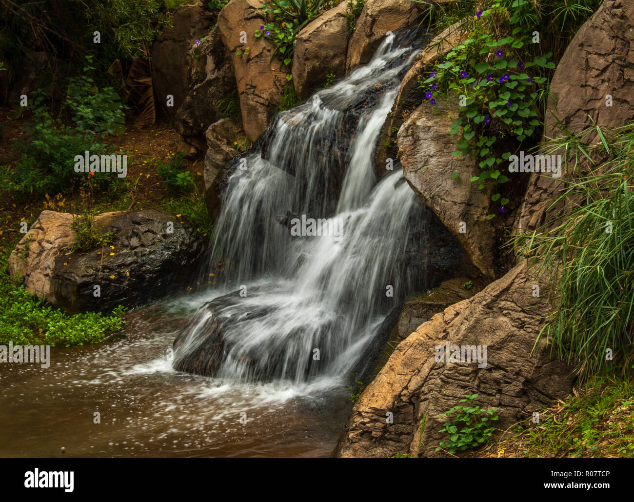 Waterfall in National botanical garden, South Africa Stock Photo - Alamy