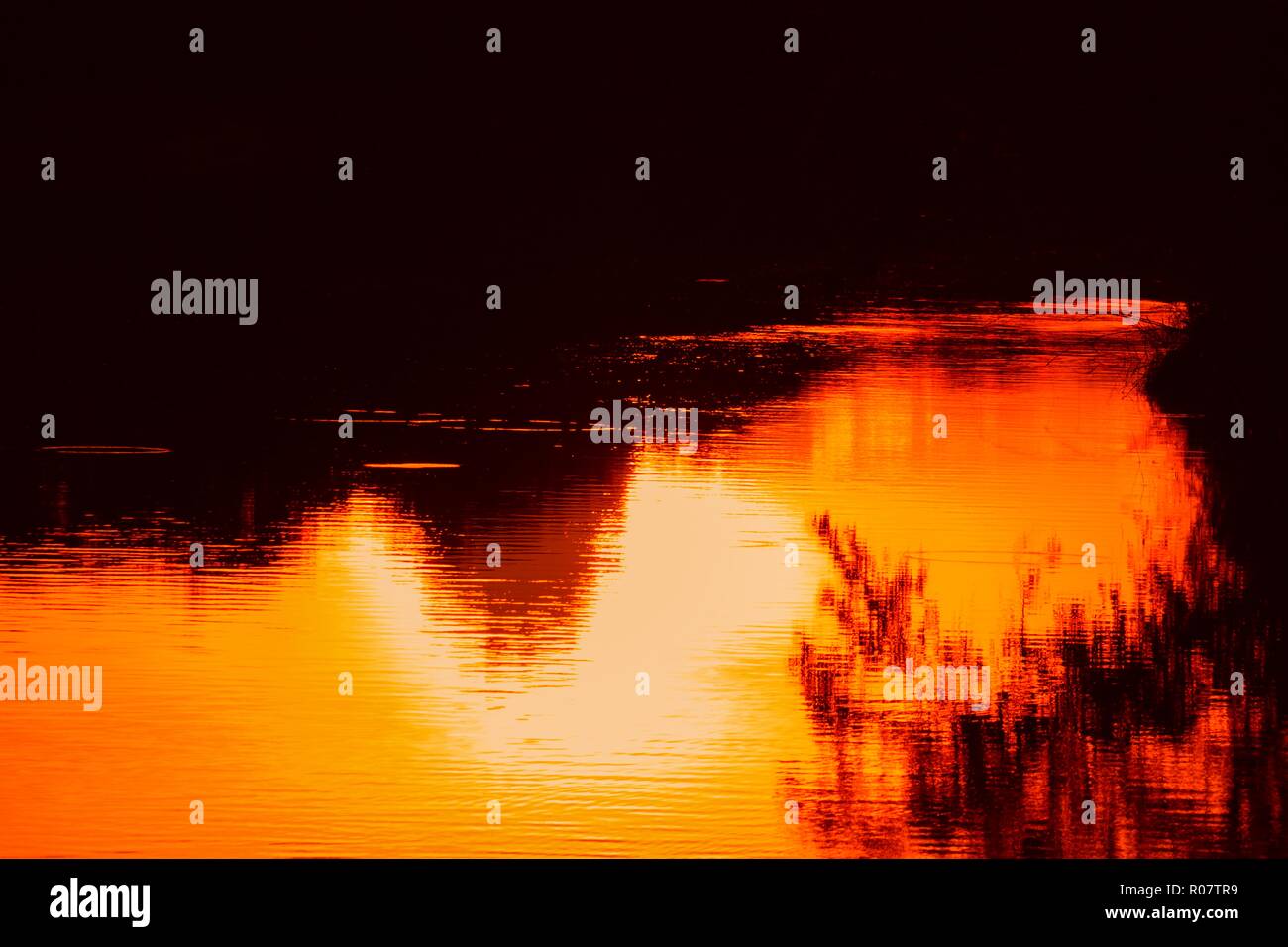 reflection river and shadow tree in water beautiful sunset nature Stock ...