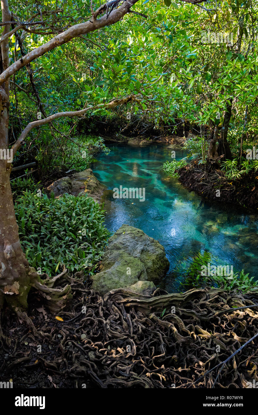 Tha Pom Khlong Song Nam in Krabi in southern Thailand. Landscape taken ...