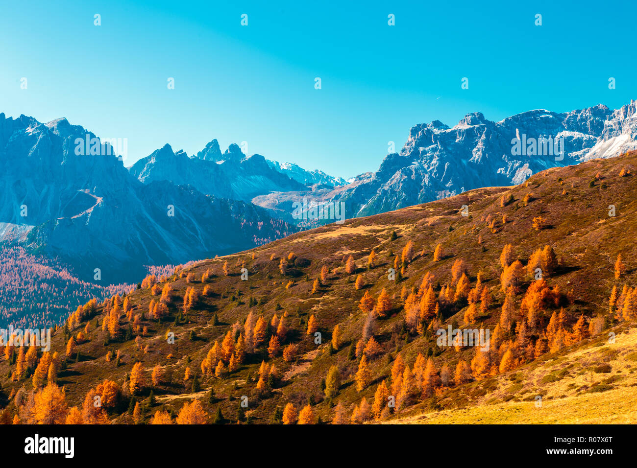 Autumn in the italian alps Stock Photo - Alamy