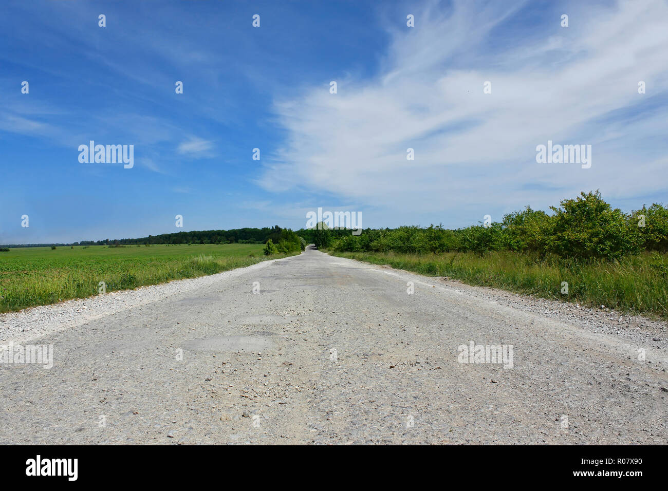 Rural paved road among the fields, orchards and forests Stock Photo - Alamy