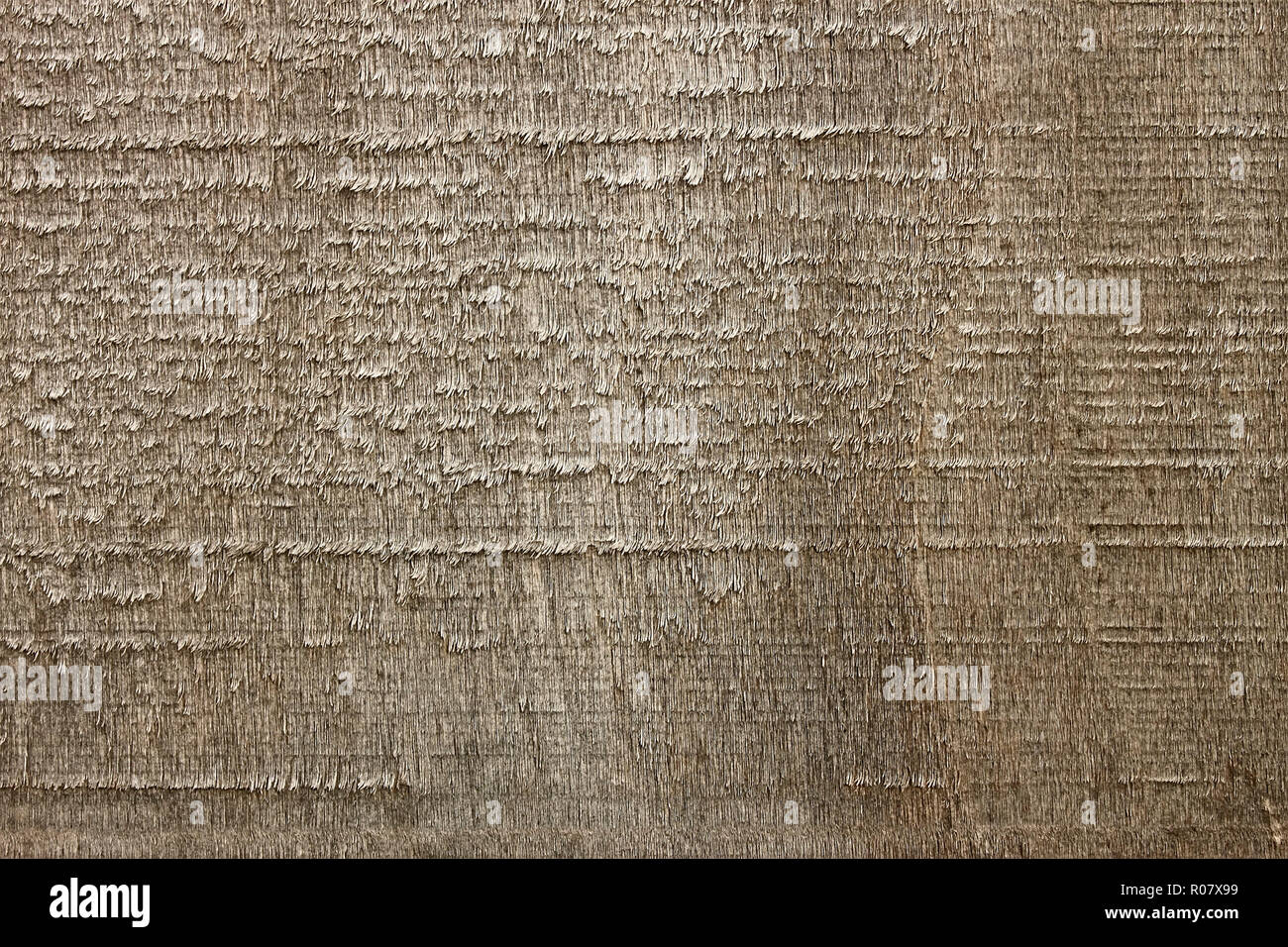 The fragment of old fuzzy wooden board as texture Stock Photo - Alamy