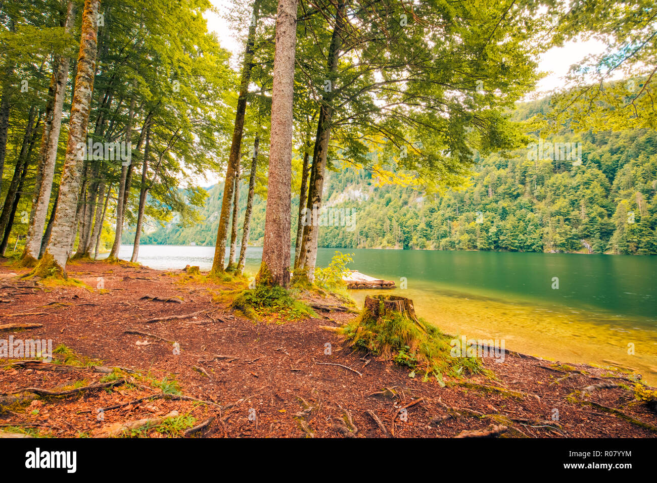 Beautiful mountain lake in the forest, bright summer day. Tranquil ...
