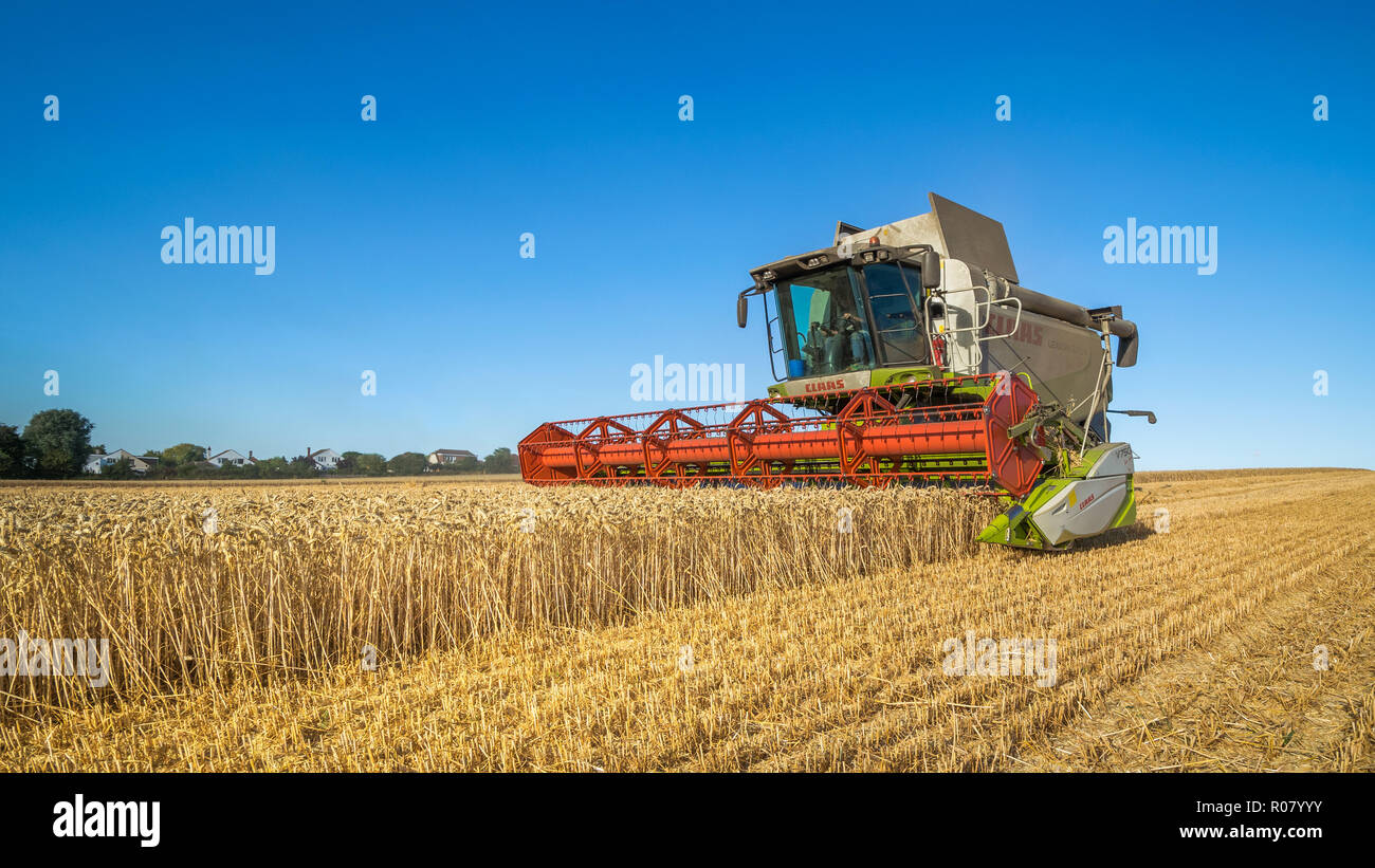 Combine harvester at work Stock Photo - Alamy