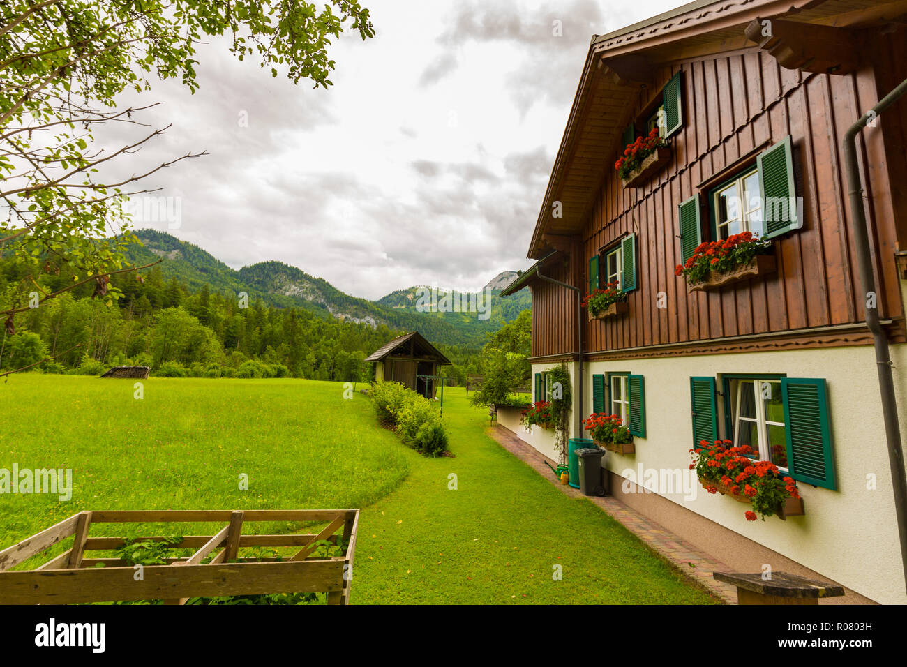 Traditional Alpine house, wooden cabin. Alps landscape, green grass ...