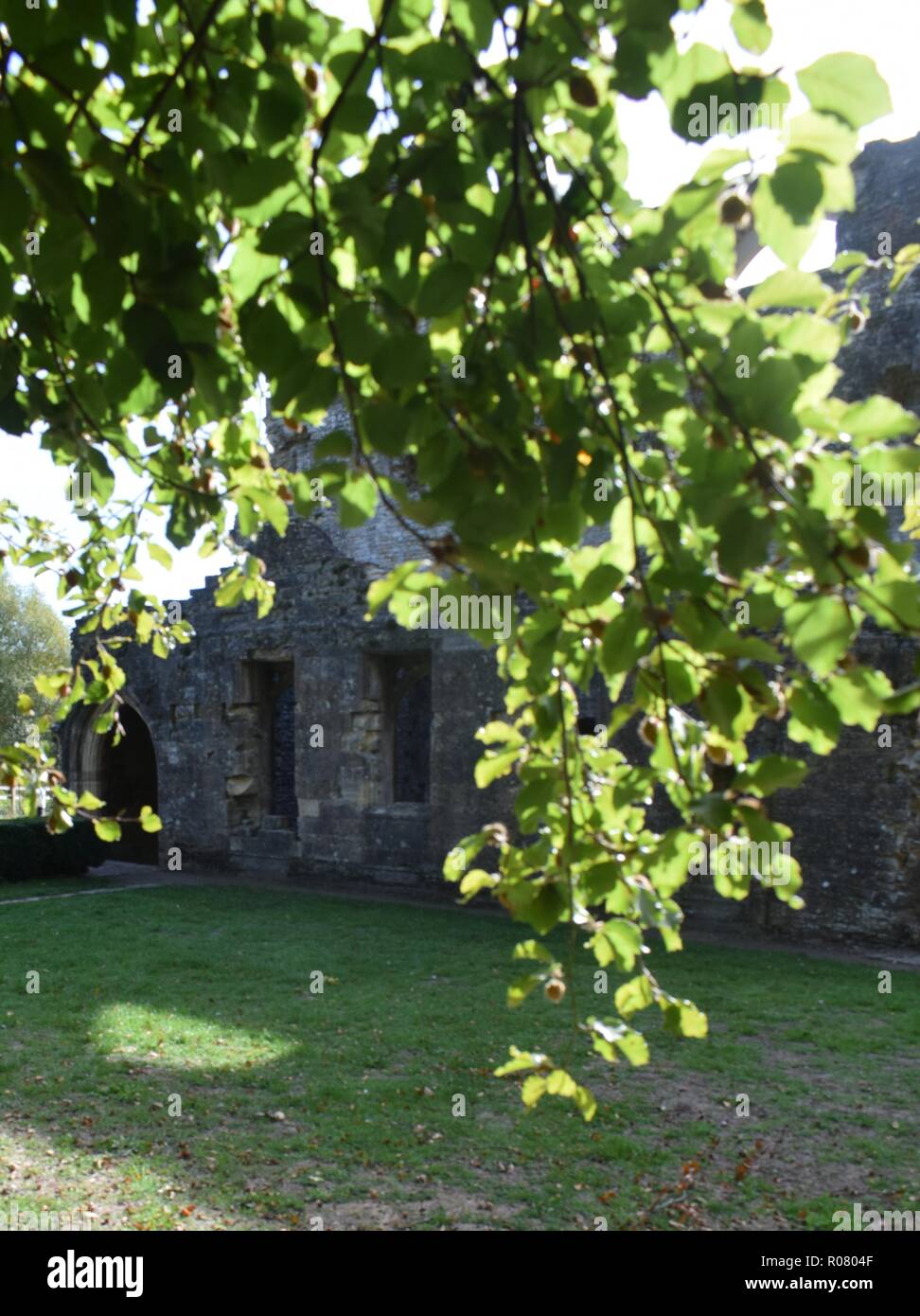 Church sunlight through trees hi-res stock photography and images - Alamy