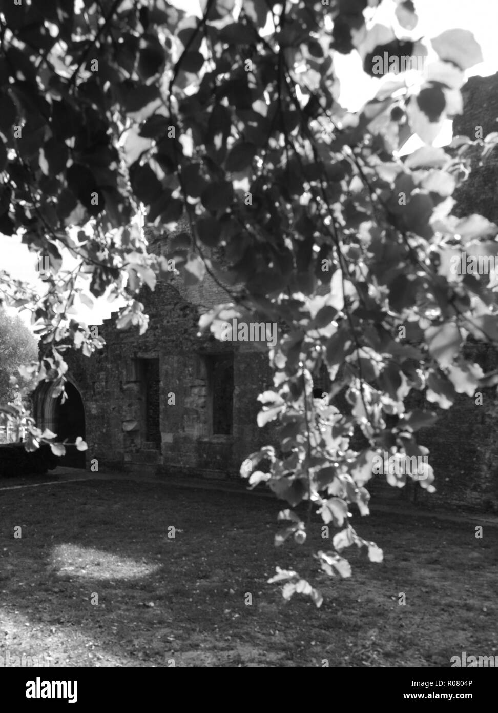 Stone ruins historic building Black and White Stock Photos & Images - Alamy